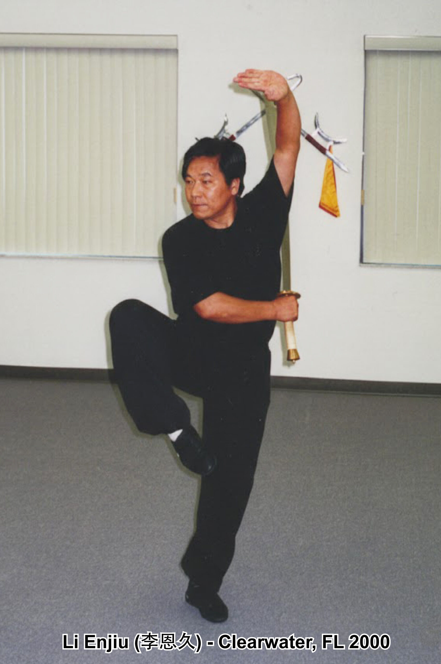 A Brief Introduction to Cha Quan - Master Nick Scrima's Chinese Martial ...