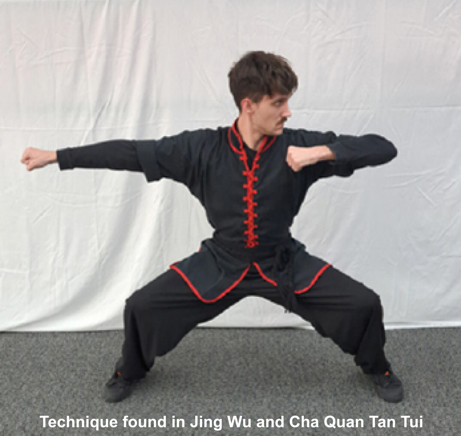 Comparative Analysis of the 12 Rows and 10 Rows of Tan Tui - Master ...